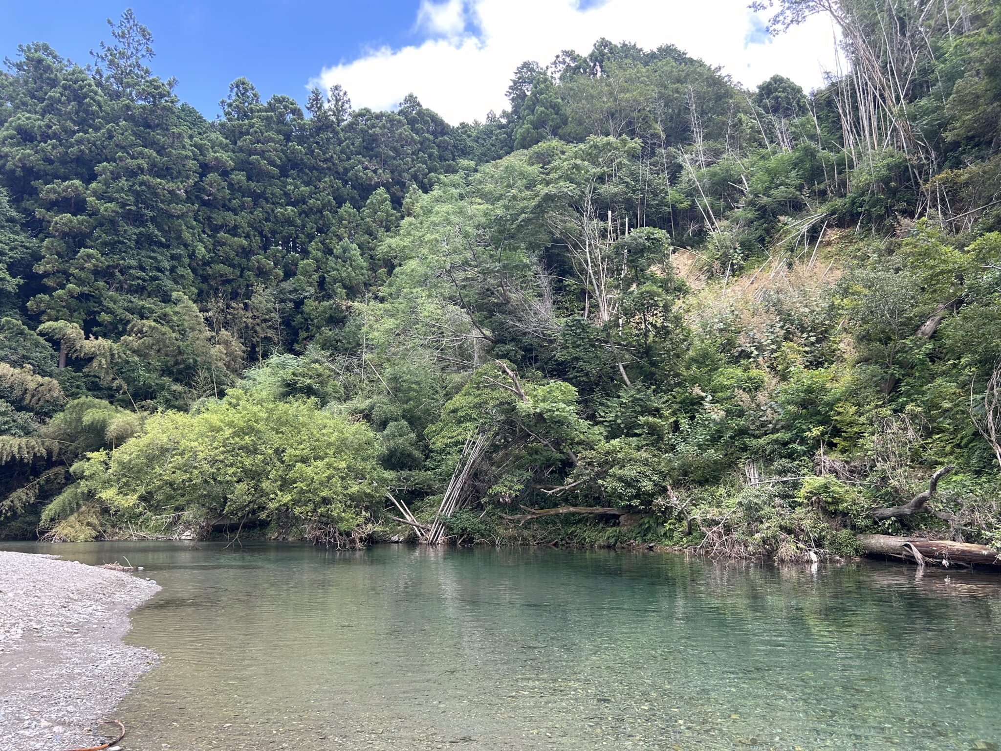 【日本・静岡】浜松市の定番川スポット「阿多古川」 | 地球の歩き方